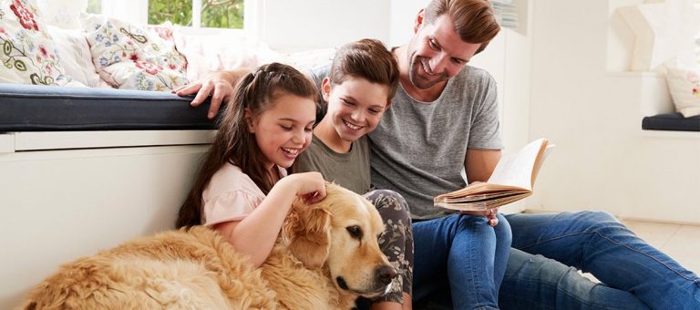 Must-haves for Homeowners with Dogs - Merit Real Estate